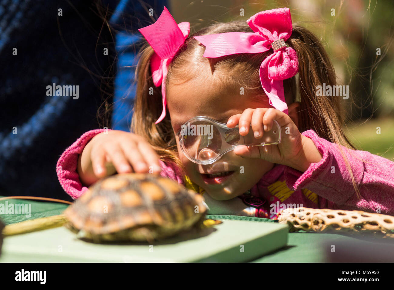Child exploring at the Joshua Tree National Park booth at Stock Photo ...