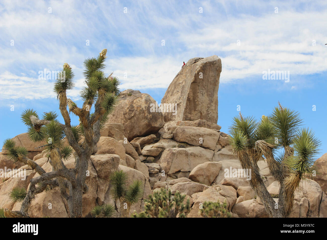 Climber on Headstone Rock Stock Photo - Alamy