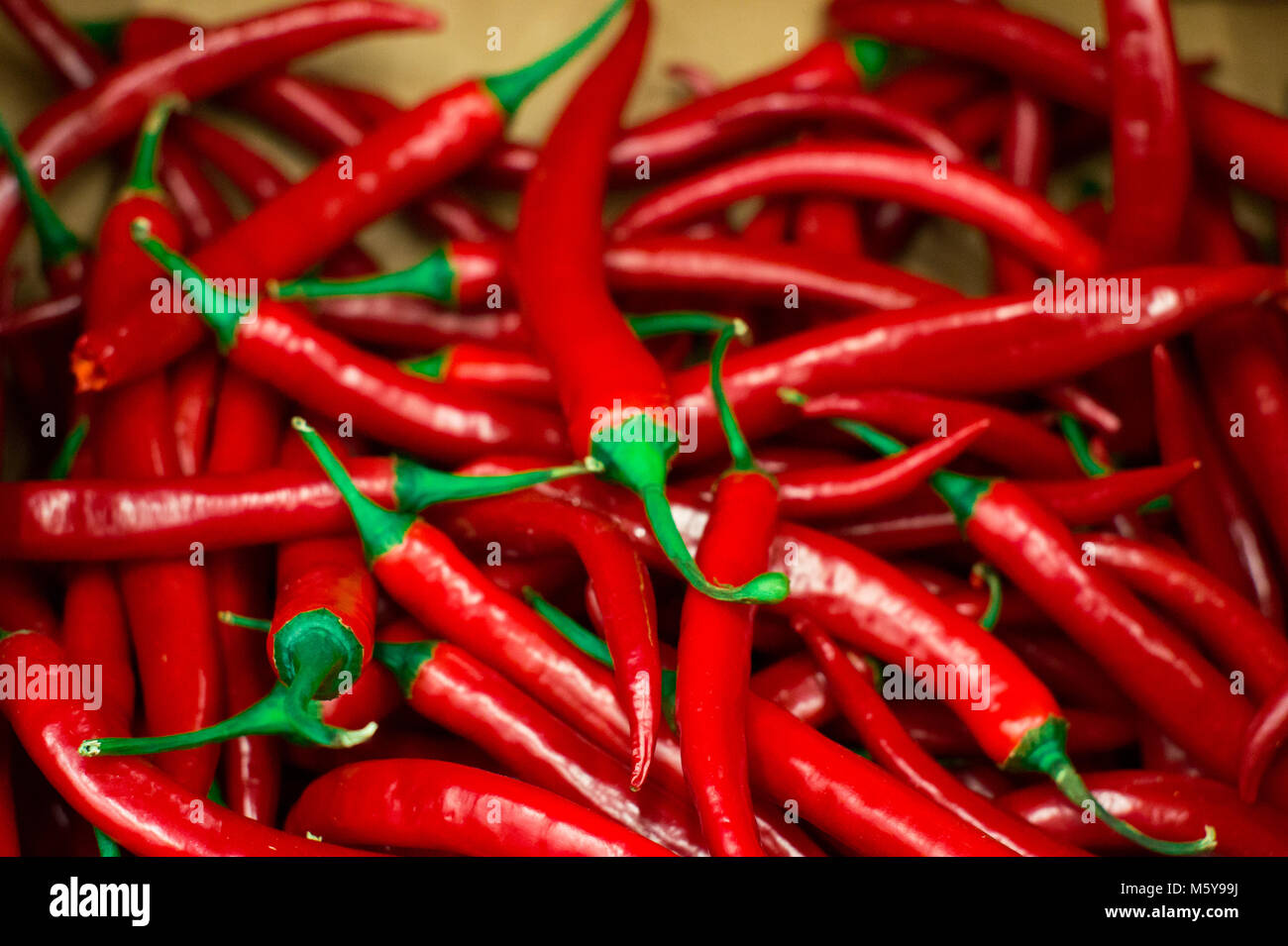 Red peppers background texture of red pepper, hot red pepper, red chili ...