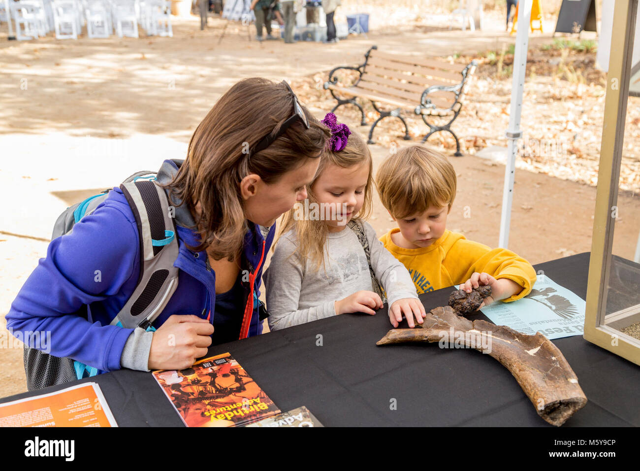 Dino Display. Kids interact with a dinosaur display from the Los ...