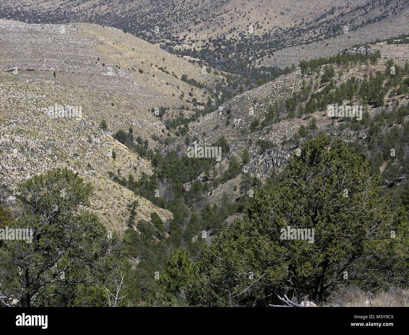 Dog Canyon from Tejas Trail Stock Photo - Alamy