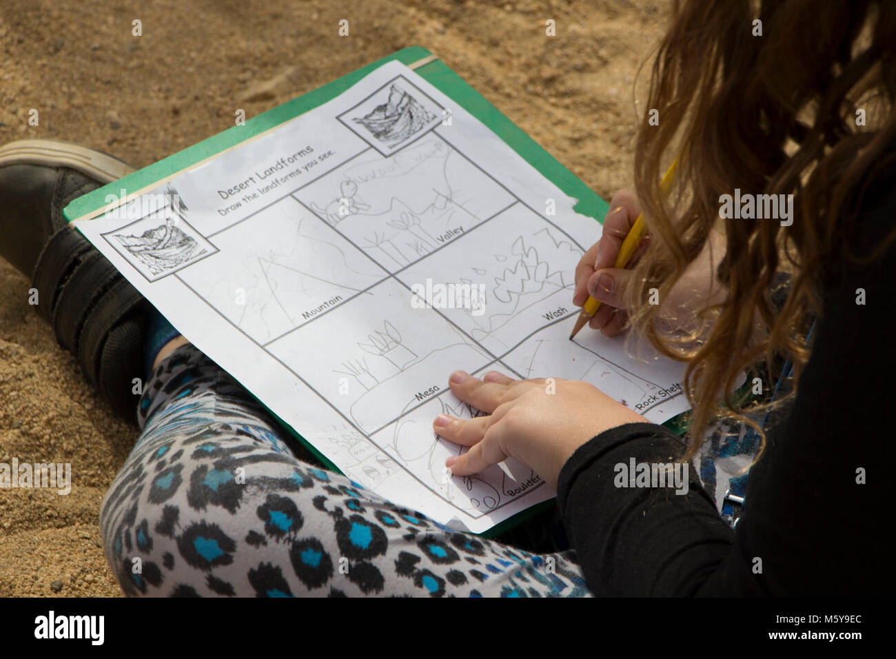 Educational Program at Joshua Tree Stock Photo - Alamy