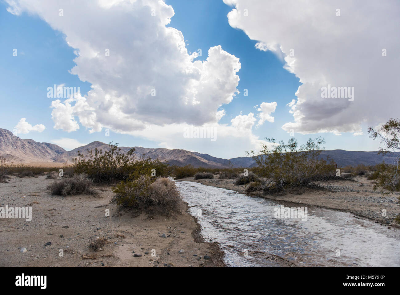 Flooding from monsoon rainfall in the Pinto Basin; Fried Liver Stock ...