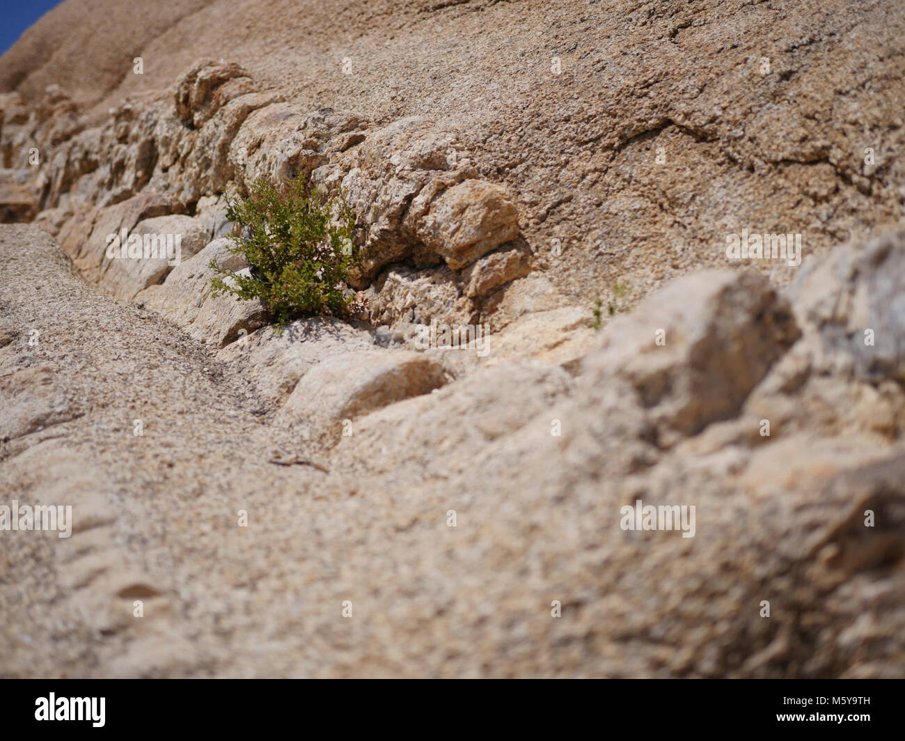 Geologic formations at Skull Rock Stock Photo - Alamy