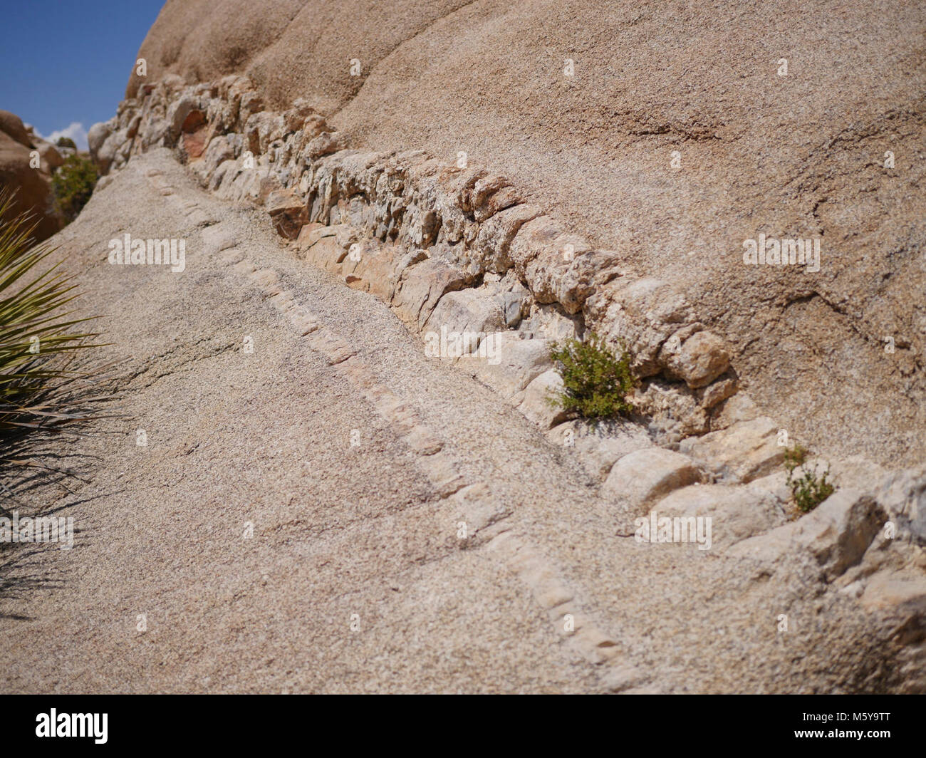 Geologic formations at Skull Rock Stock Photo - Alamy