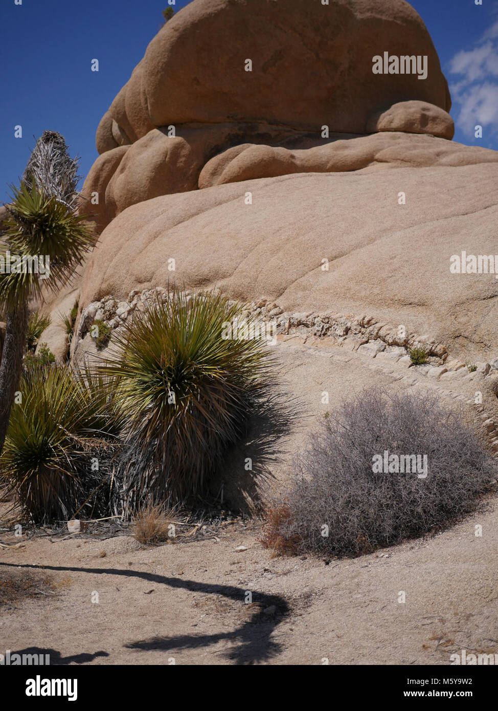 Geologic formations at Skull Rock Stock Photo - Alamy