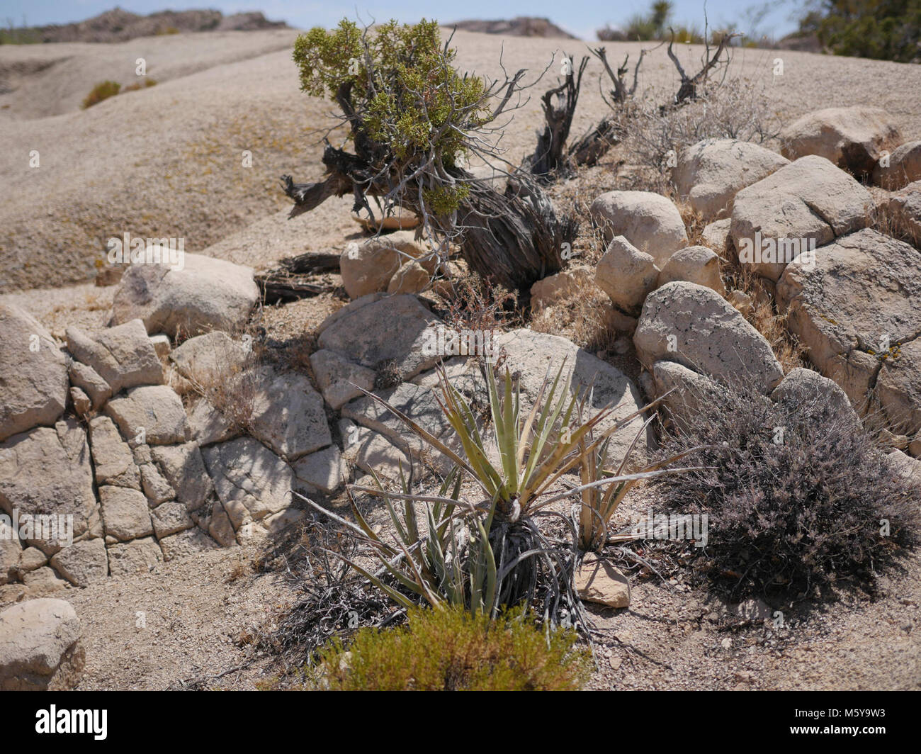 Geologic formations at Skull Rock Stock Photo - Alamy