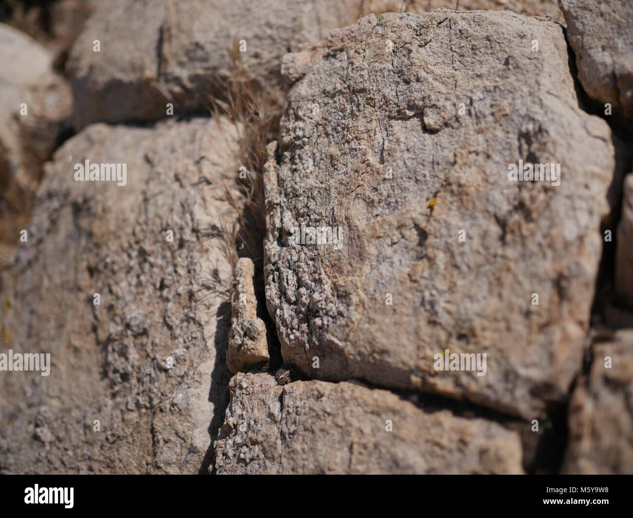 Geologic formations at Skull Rock Stock Photo - Alamy