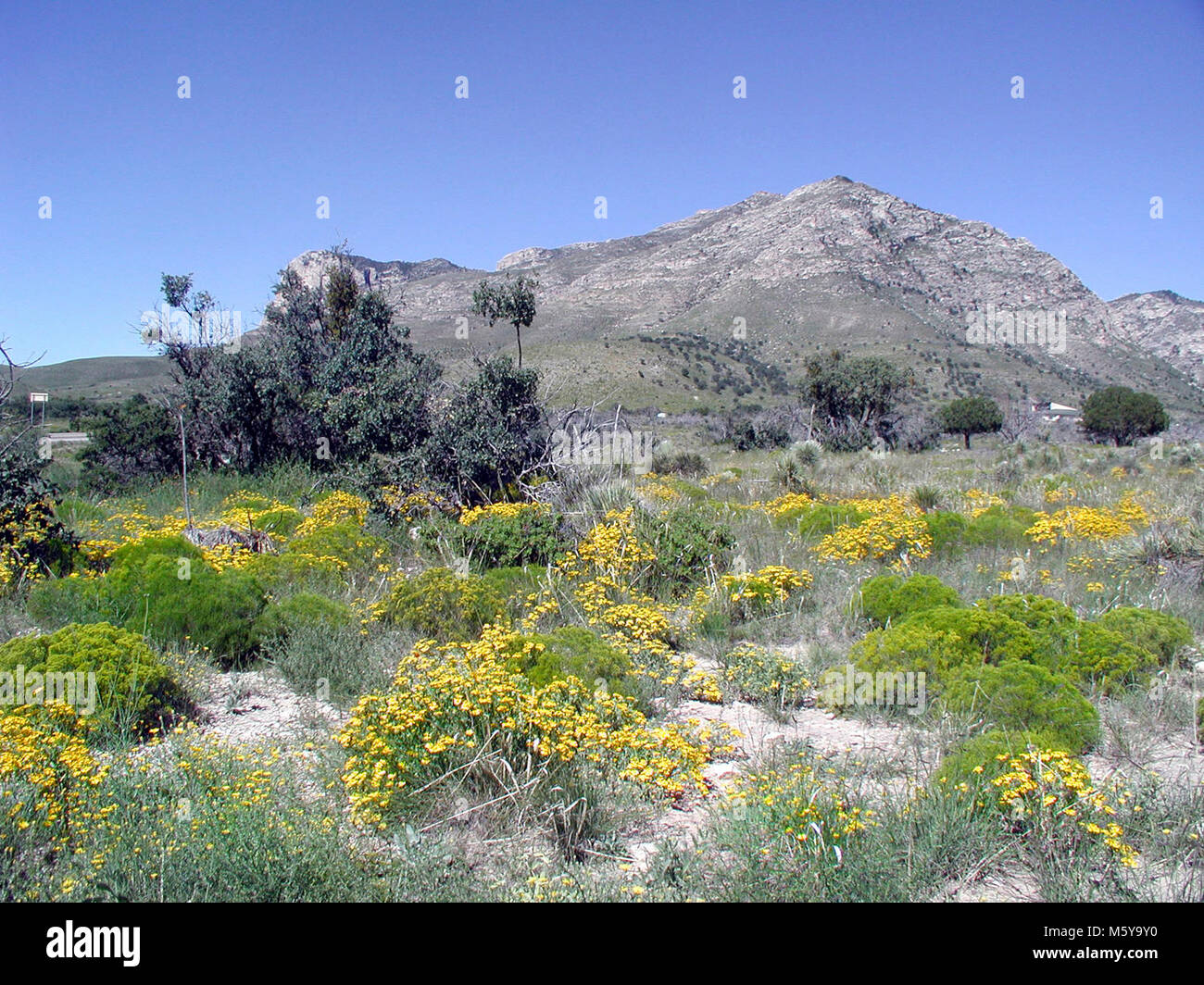 Guadalupe Peak from the Pinery Trail Stock Photo - Alamy
