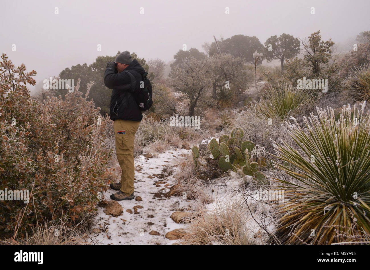 Man birding at Guadalupe Mountains National Park Stock Photo - Alamy