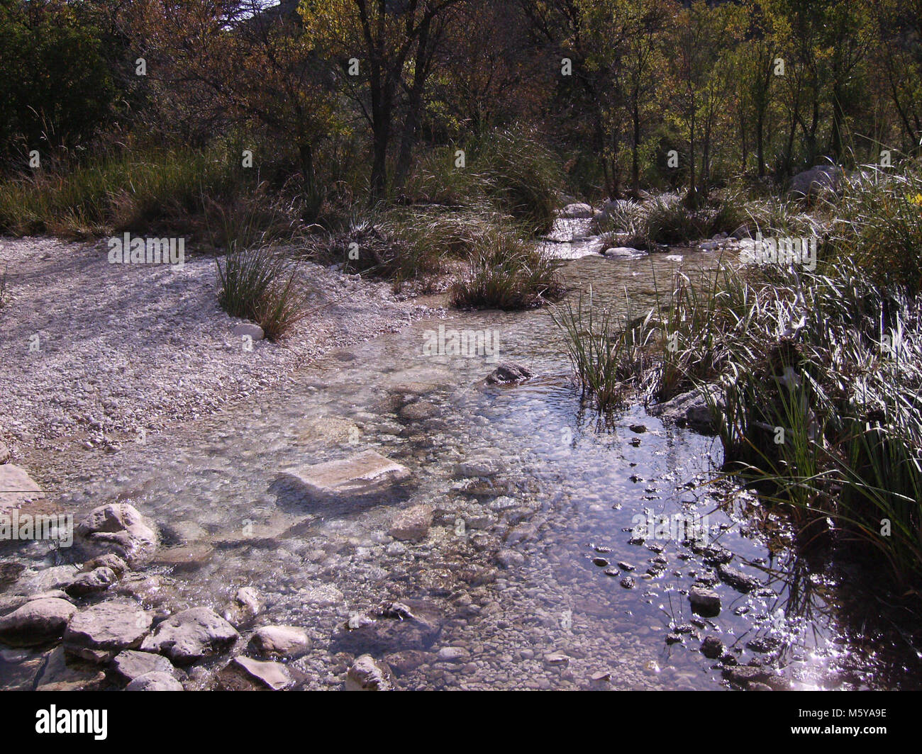 Mckitrick canyon trail hi-res stock photography and images - Alamy