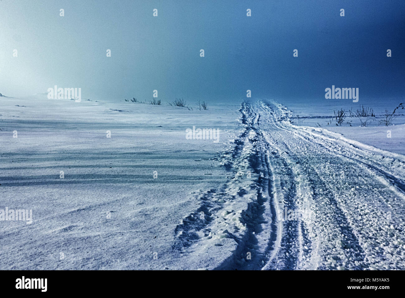 night winter landscape . snowfield, fog and road Stock Photo - Alamy