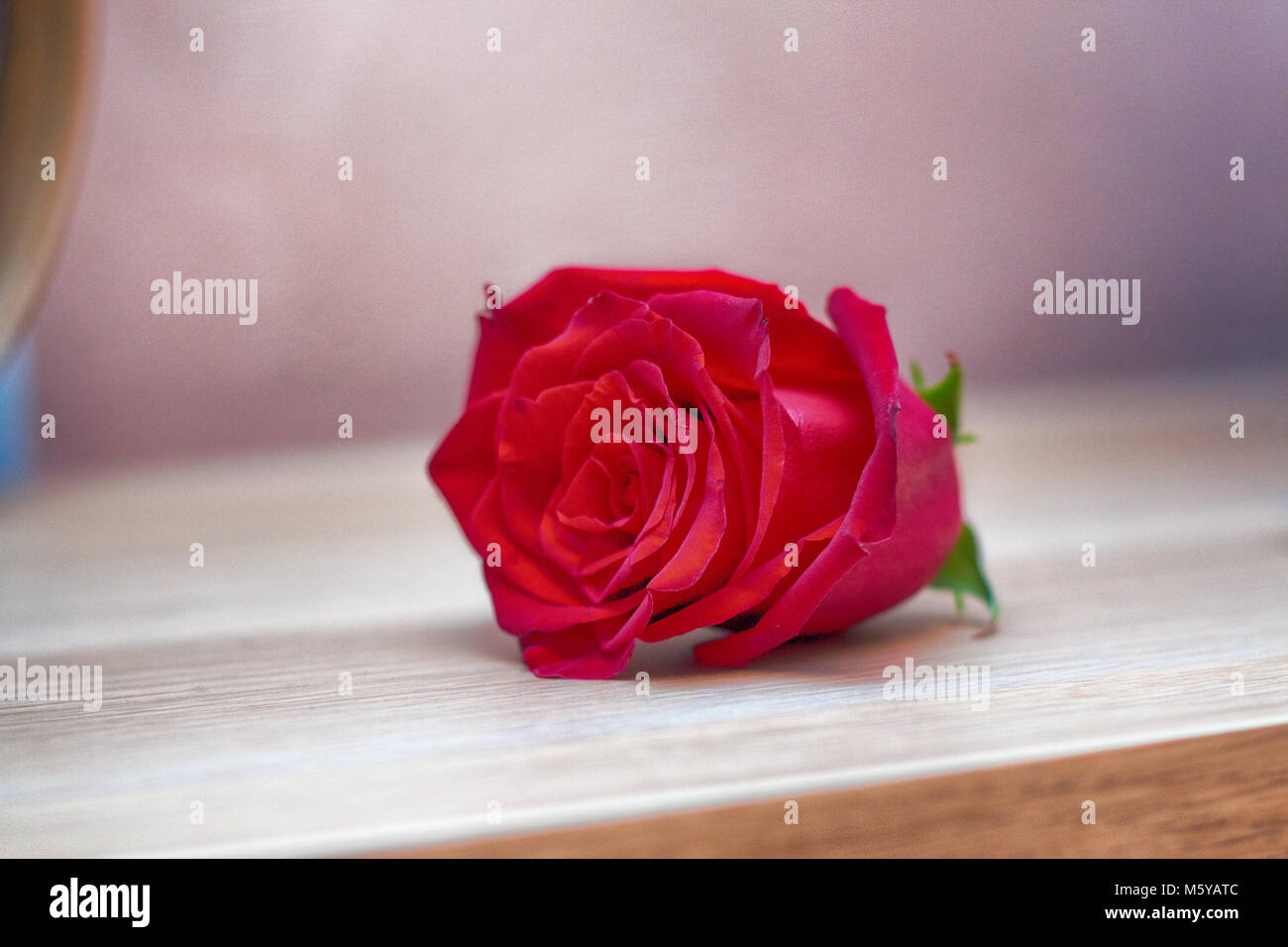 Big bud hi-res stock photography and images - Alamy