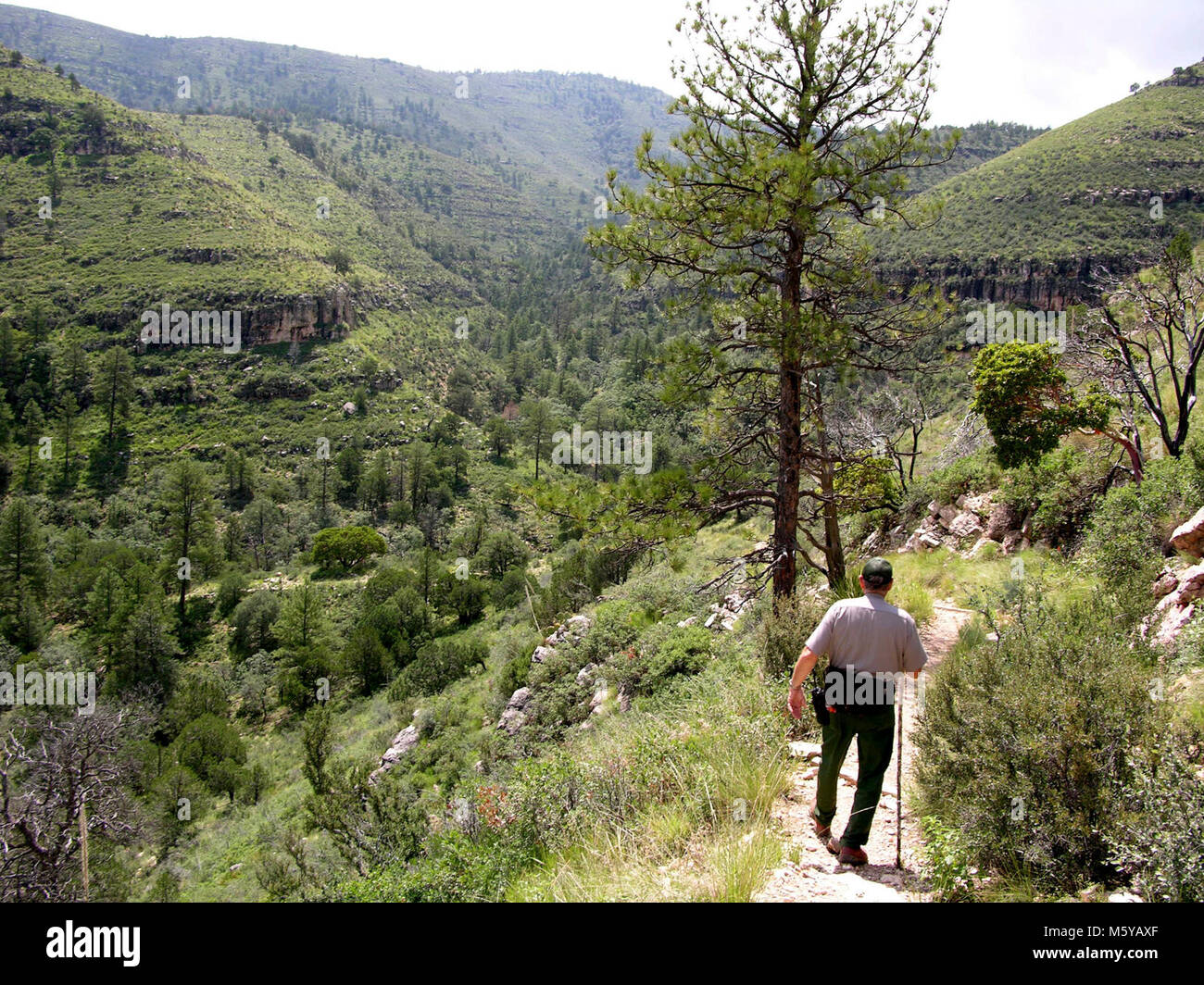 Tejas Trail High Resolution Stock Photography and Images - Alamy