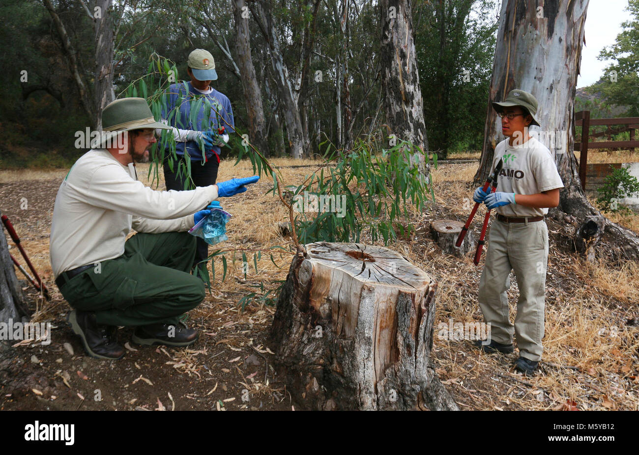 Peter Strauss Ranch High Resolution Stock Photography and Images - Alamy