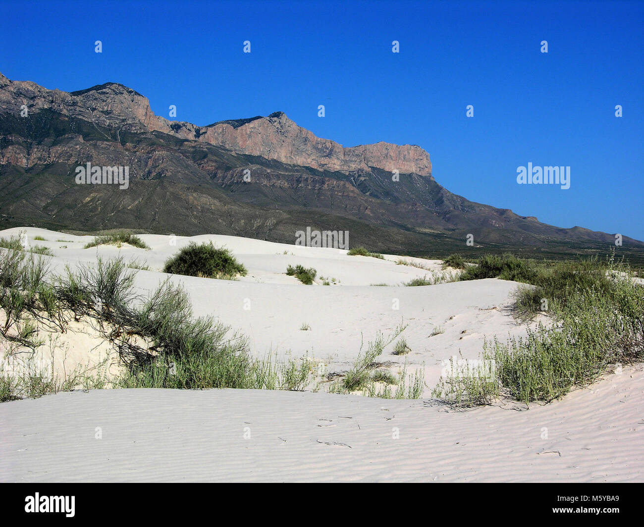 Salt Basin Dunes Stock Photo - Alamy