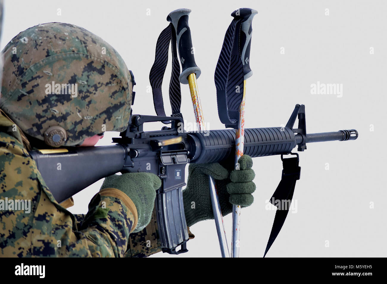 A Marine uses ski poles for stabilization while firing at the biathlon ...