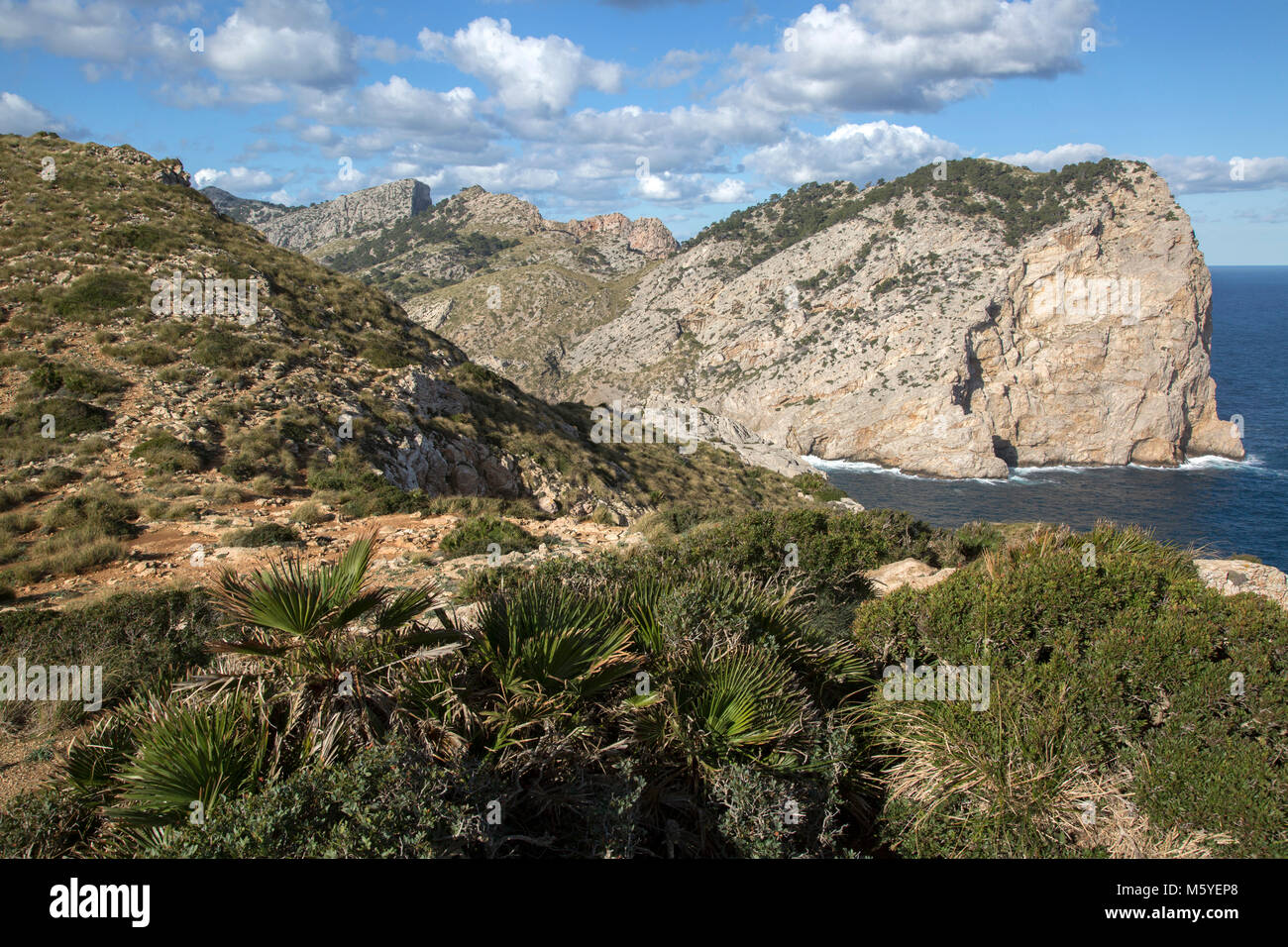 Formentor Cliffs; Majorca; Spain Stock Photo - Alamy