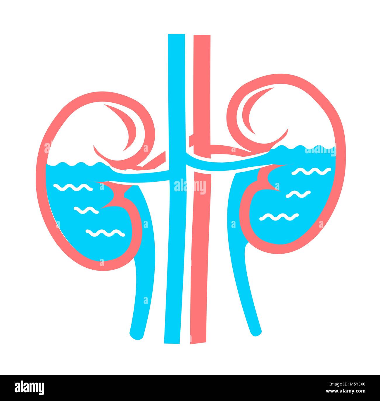 concept of kidneys with water on a white background. icon kidney in a ...