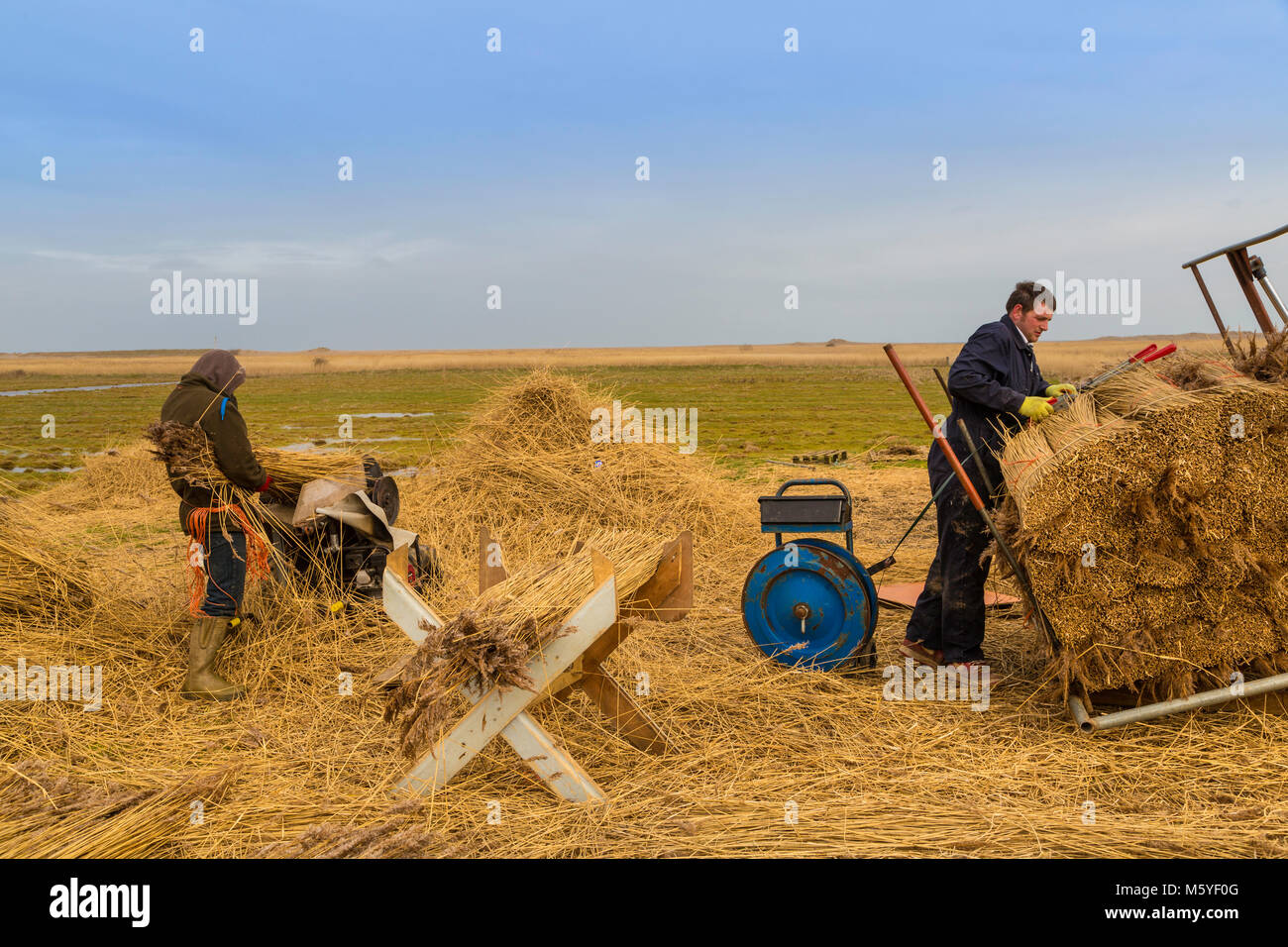 Roof thatch reed traditional hi-res stock photography and images - Alamy