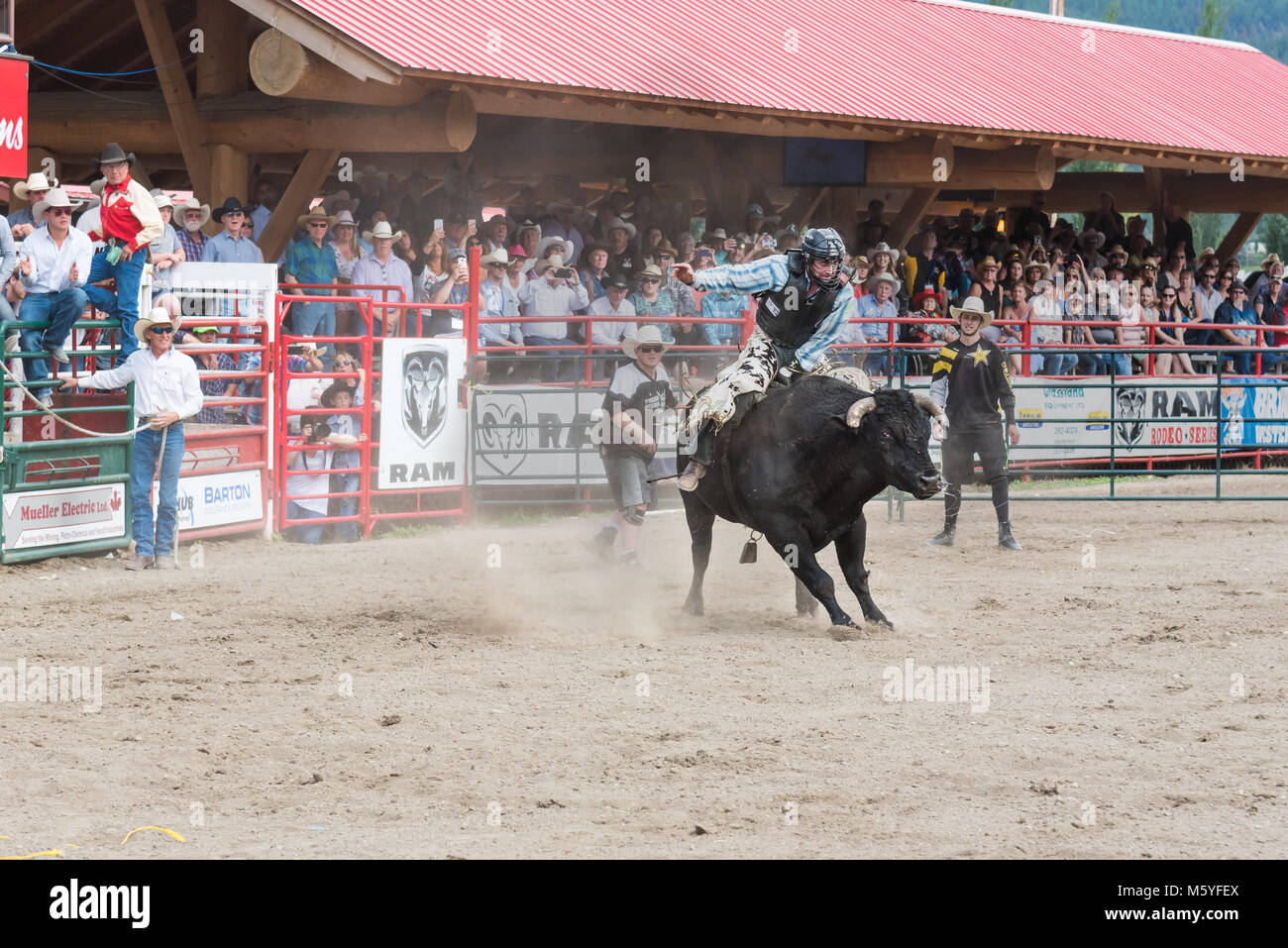 Cowboy fights to stay on bucking bull at the 90th Williams Lake ...