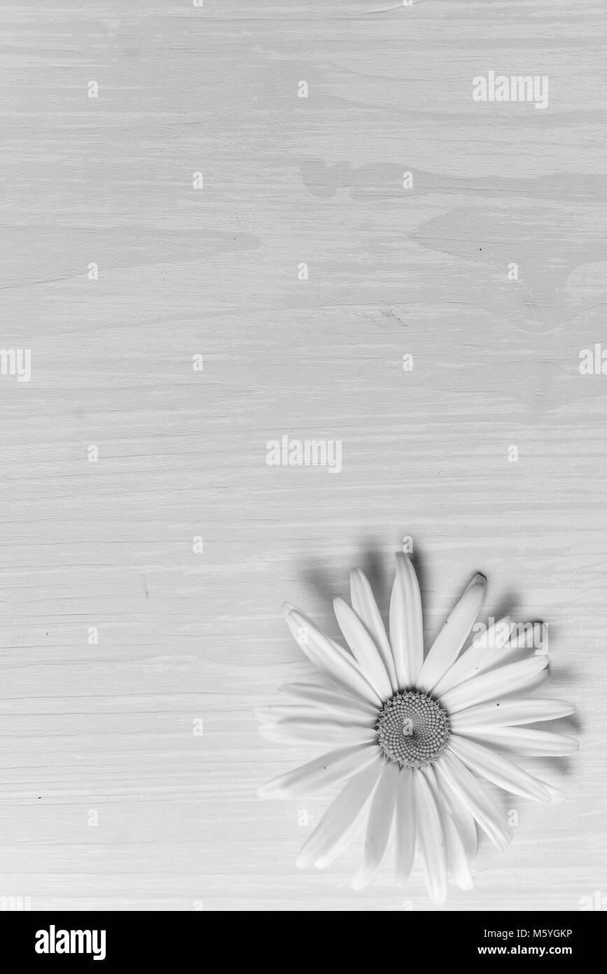 Small rustic table Black and White Stock Photos & Images - Alamy