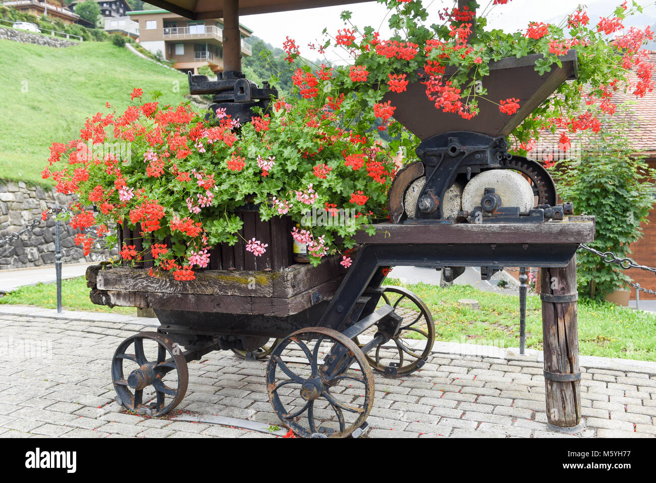 Olive grinding stone hi-res stock photography and images - Alamy