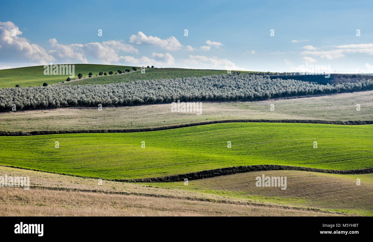 A beautiful field Stock Photo - Alamy