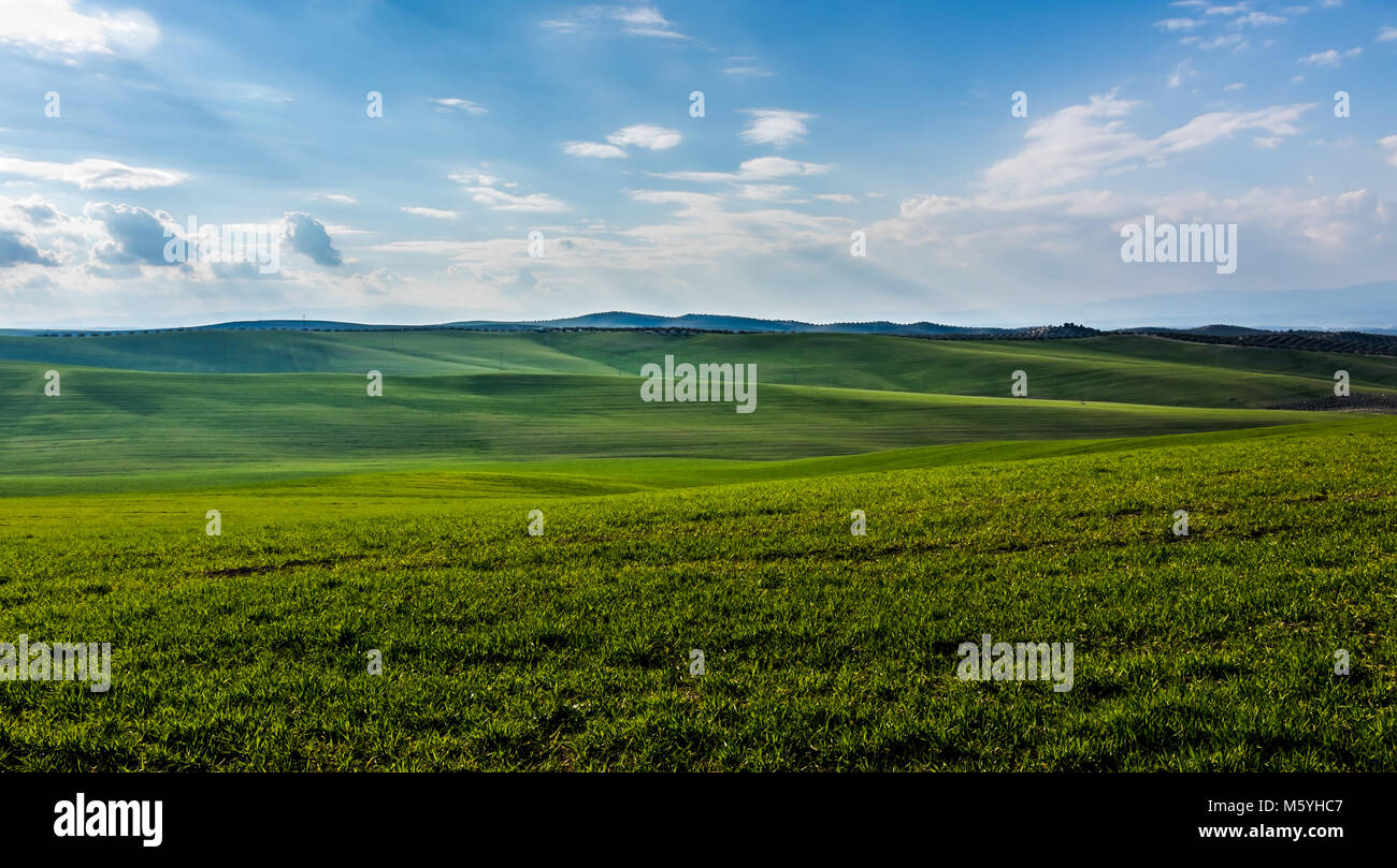 A beautiful field Stock Photo - Alamy