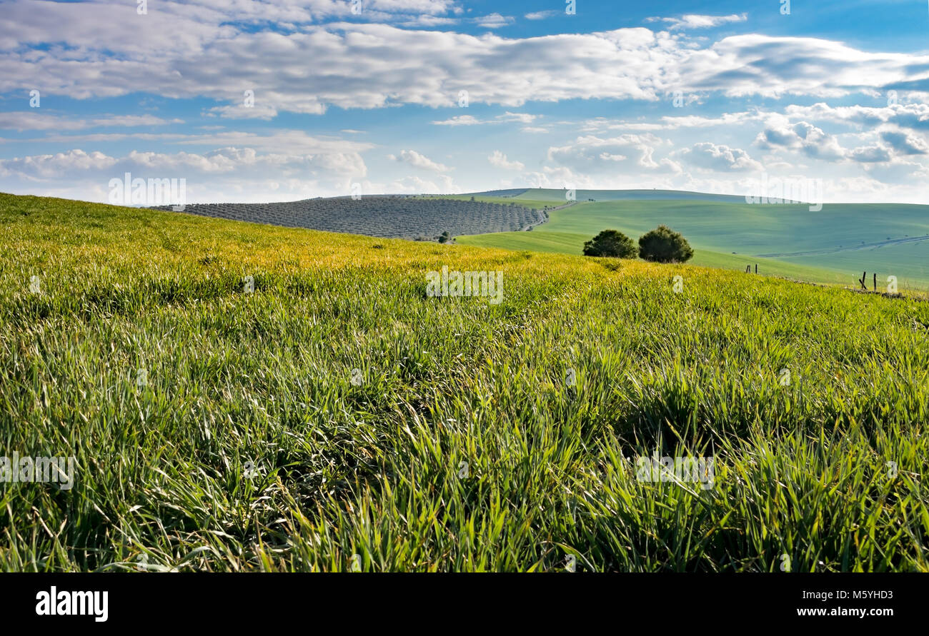 A beautiful field Stock Photo - Alamy