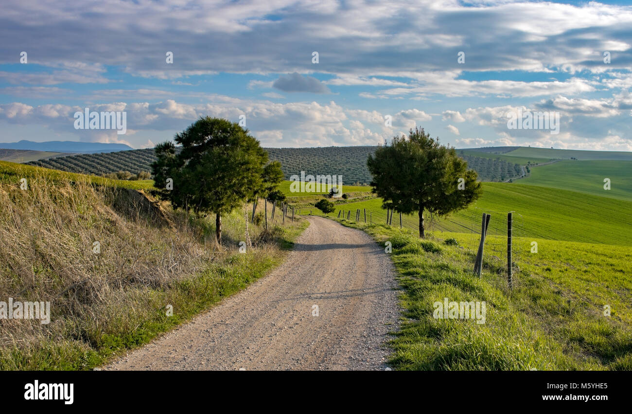 A beautiful field Stock Photo - Alamy