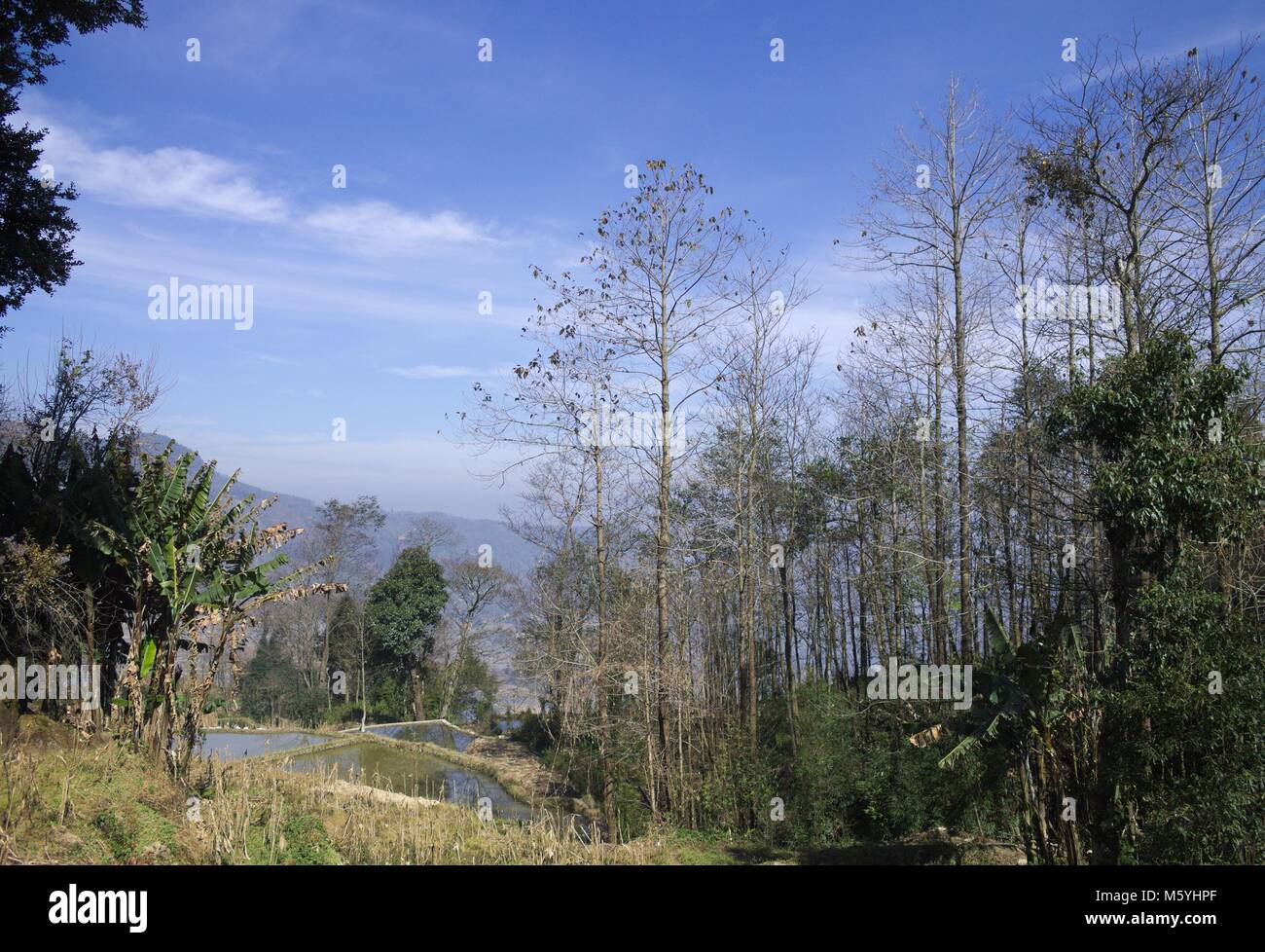Yuanyang lake hi-res stock photography and images - Alamy