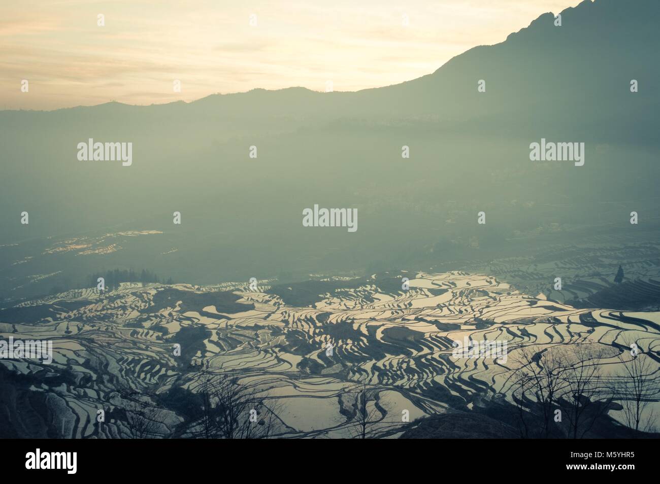 Yuanyang rice terraces view (Yunnan, China Stock Photo - Alamy