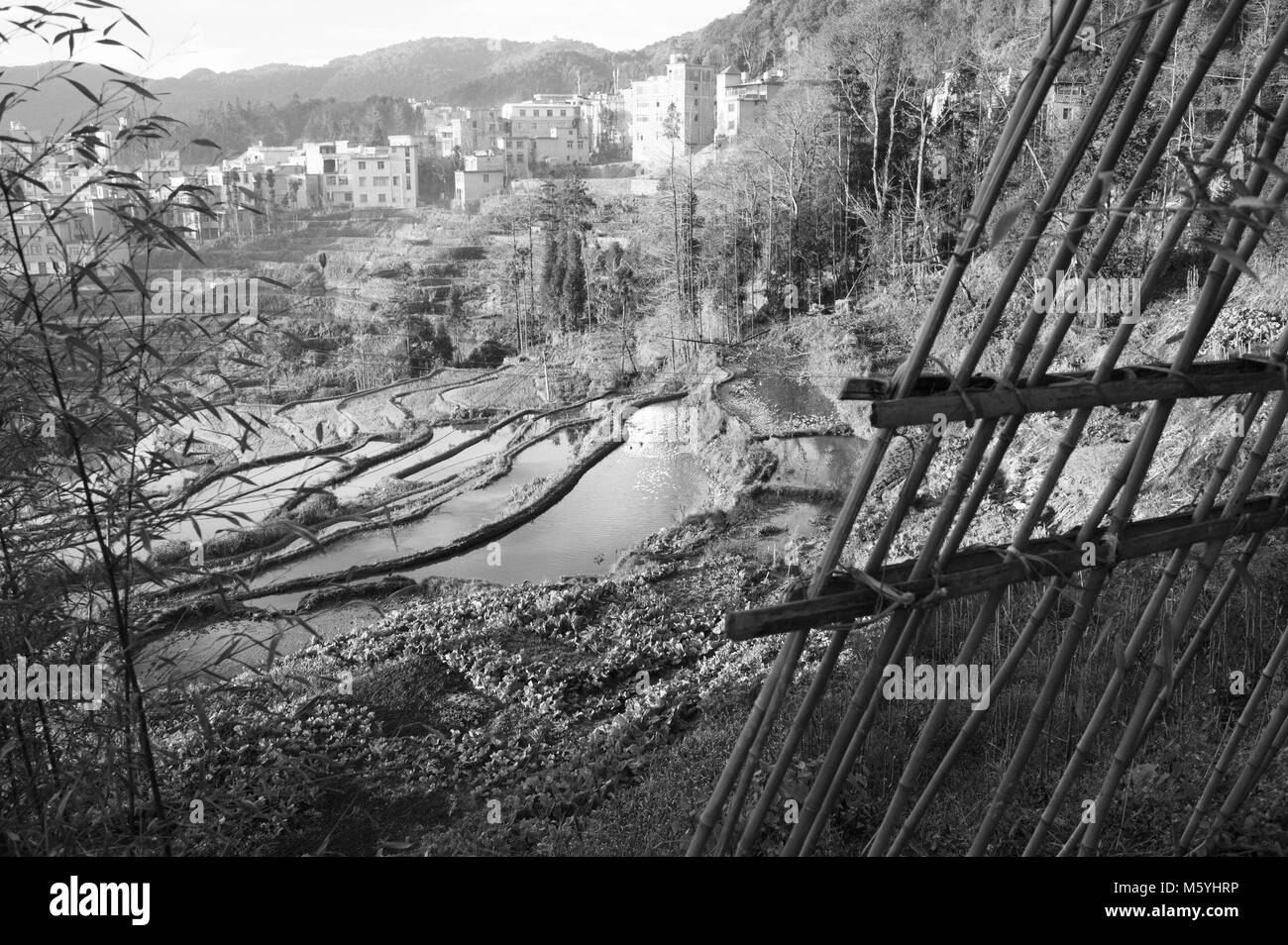 View of Duo Yi Shu Village through a bamboo gate - Yuanyang Rice ...