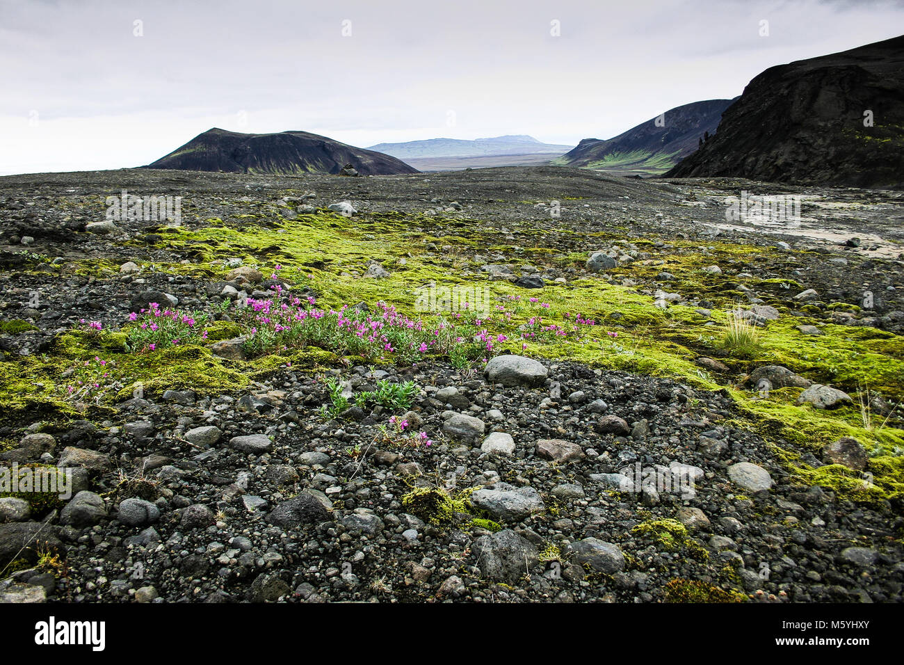 waterfall in green iceland landscape Stock Photo - Alamy