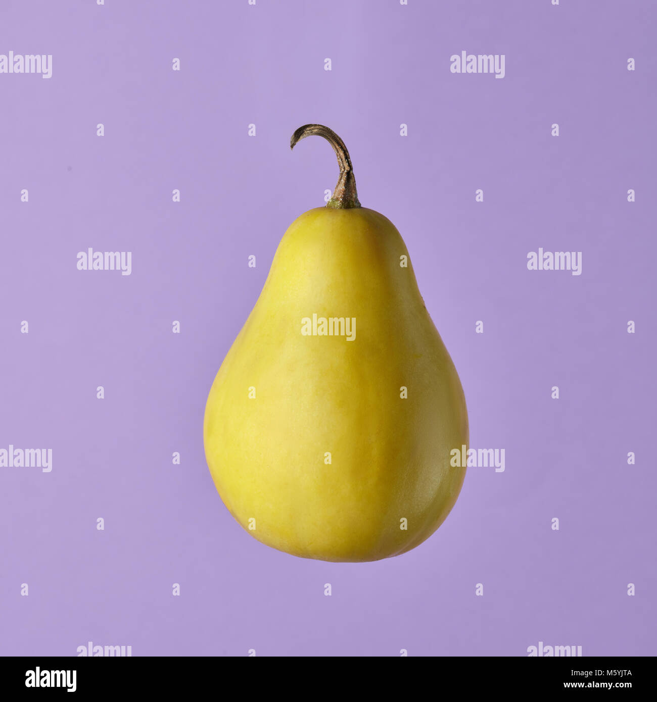 Delicious yellow pear in air on purple background Stock Photo - Alamy