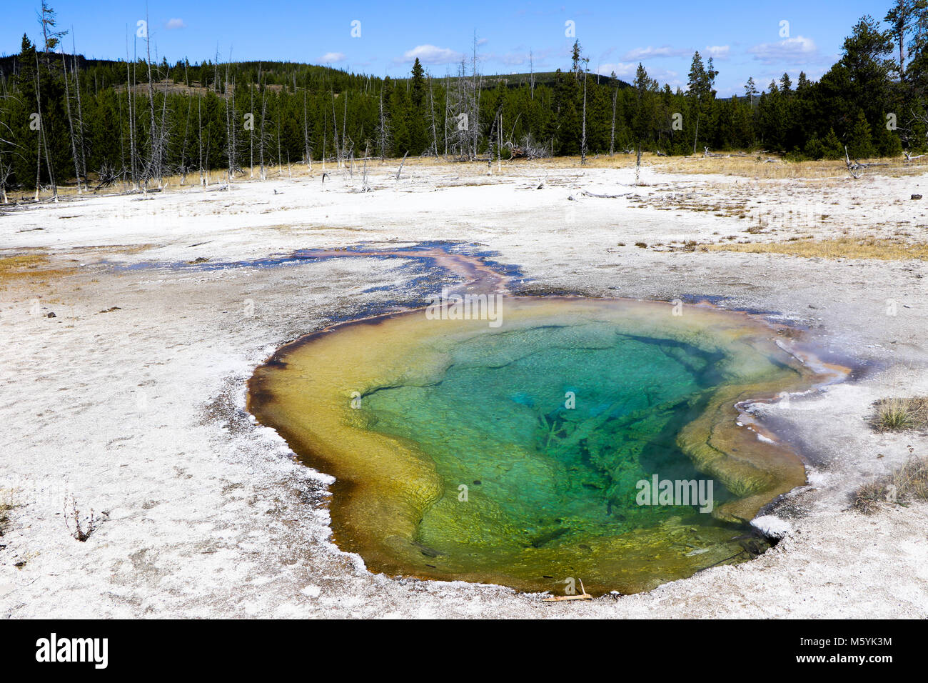 Geyser In Yellowstone National Park Stock Photo - Alamy