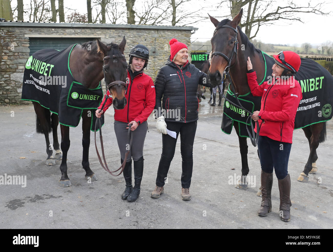 Visit jessica harrington stable visit hi-res stock photography and ...