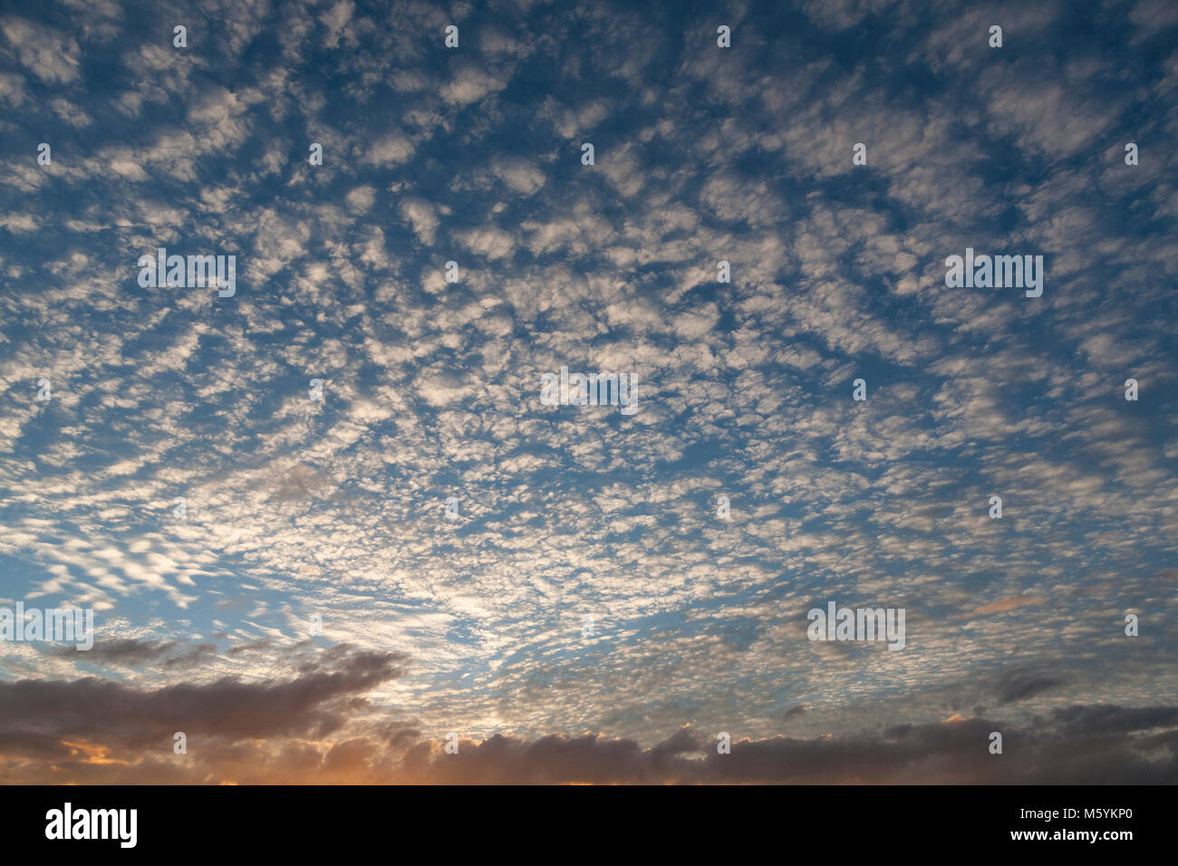 Stratocumulus clouds at sunset hi-res stock photography and images - Alamy