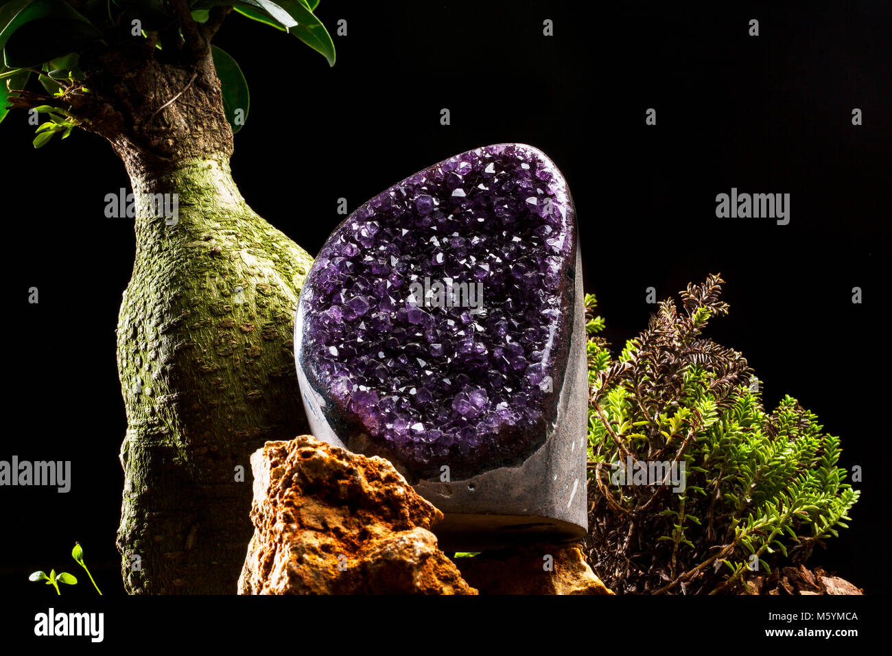 amethyst mineral specimen,amethyst mineral specimen Stock Photo - Alamy