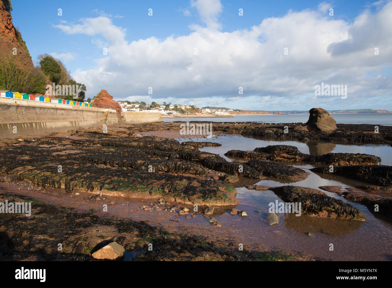Rock pools and view to Dawlish Devon England uk English coast town ...