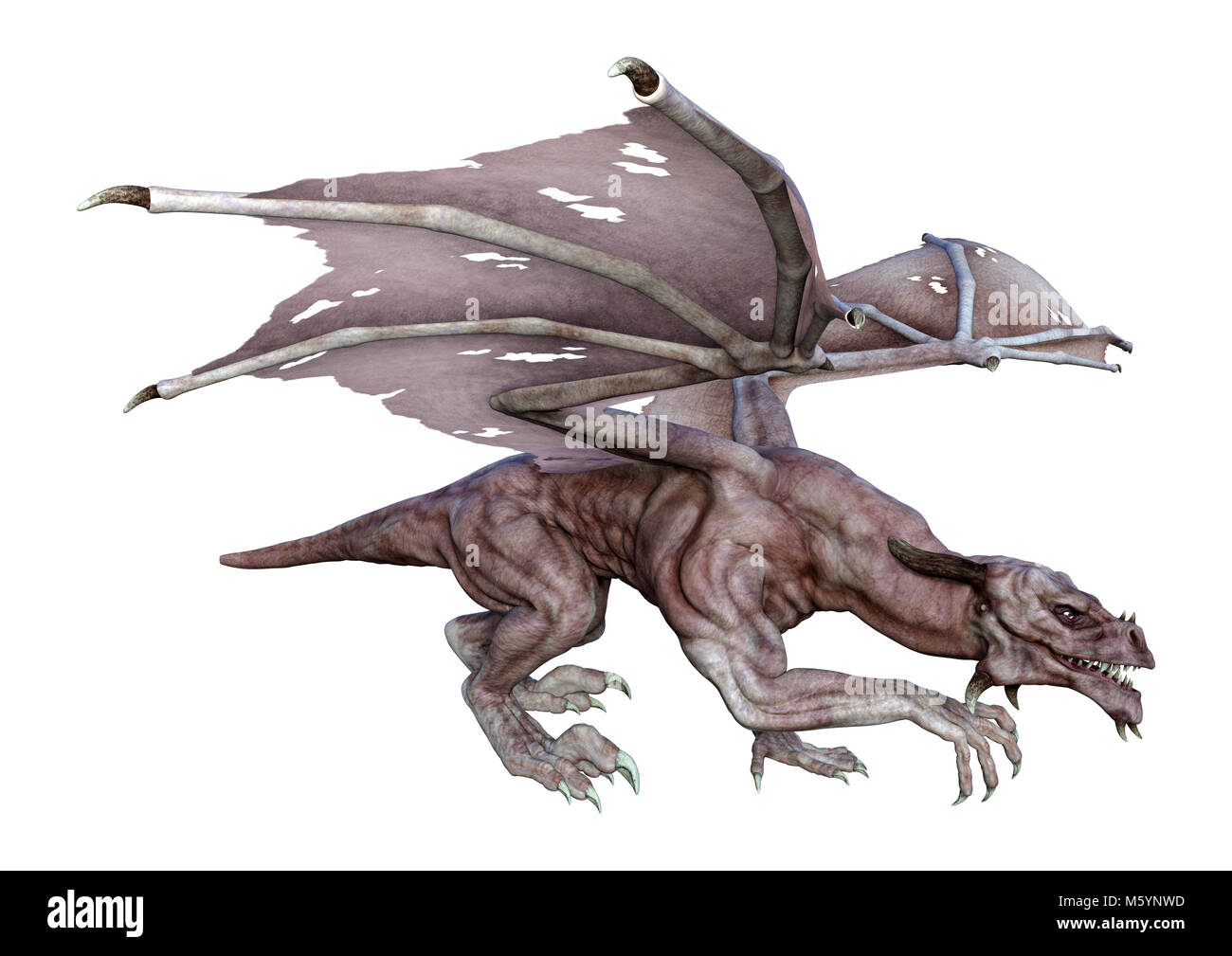 3D rendering of a fantasy vampire dragon isolated on white background ...