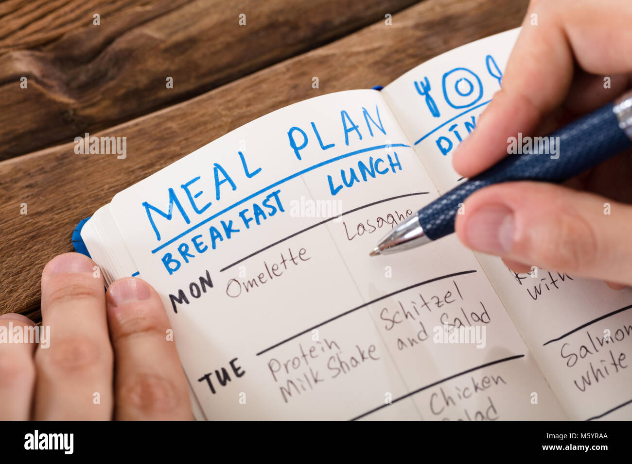 Elevated View Of A Human Hand Filling Meal Plan On Notebook At ...