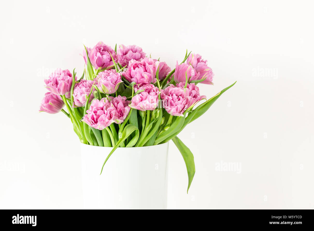 Spring Flower White Background