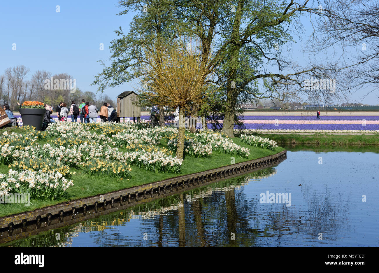 Keukenhof Gardens, Lisse, Holland Stock Photo - Alamy