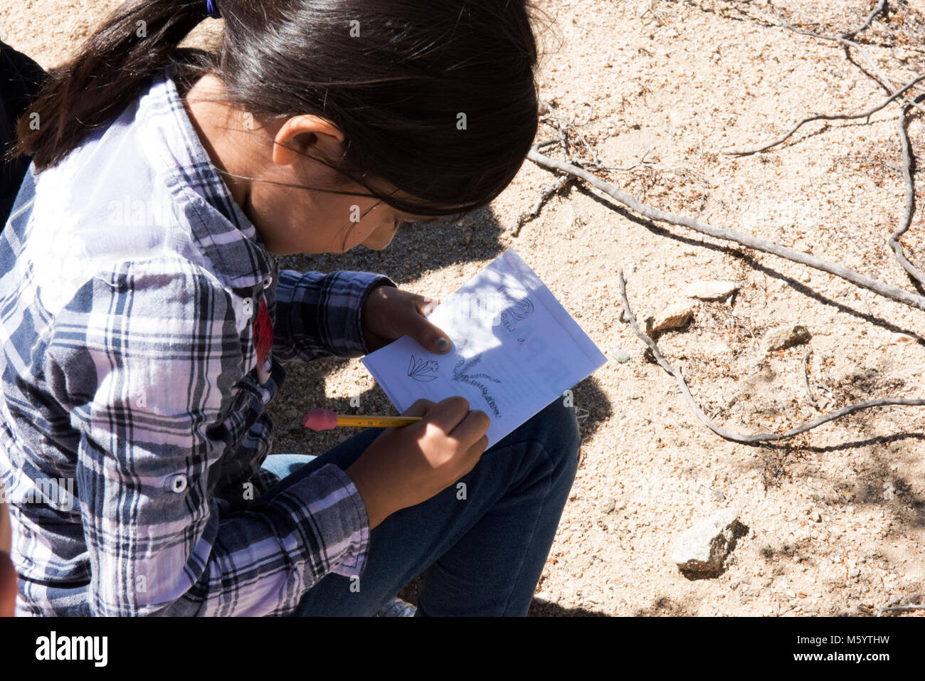 Student writing in field notebook Stock Photo - Alamy