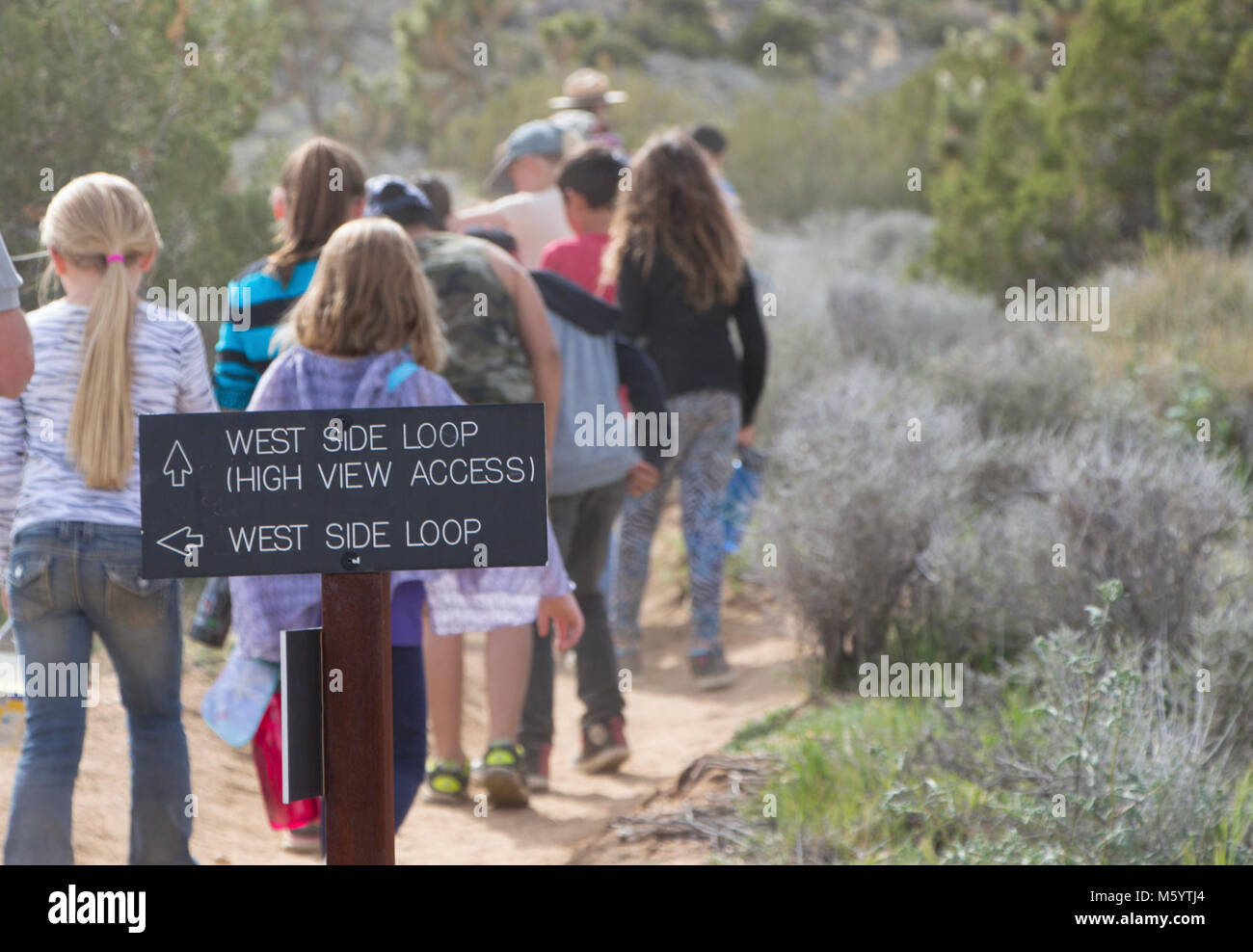 Students hiking in Joshua Tree Stock Photo - Alamy