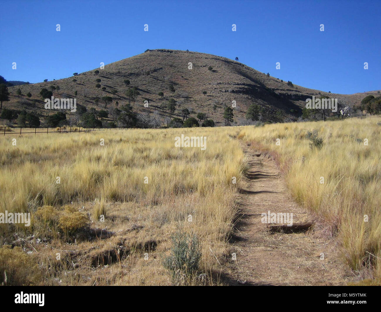 Tejas trail hi-res stock photography and images - Alamy