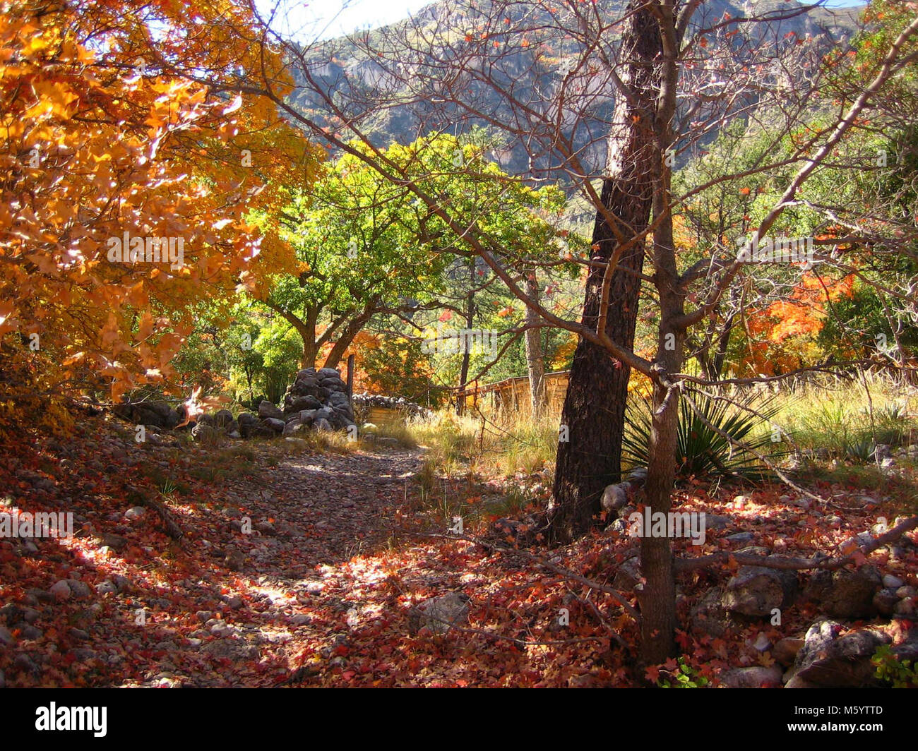 The Grotto to Hunter Line Cabin Stock Photo - Alamy