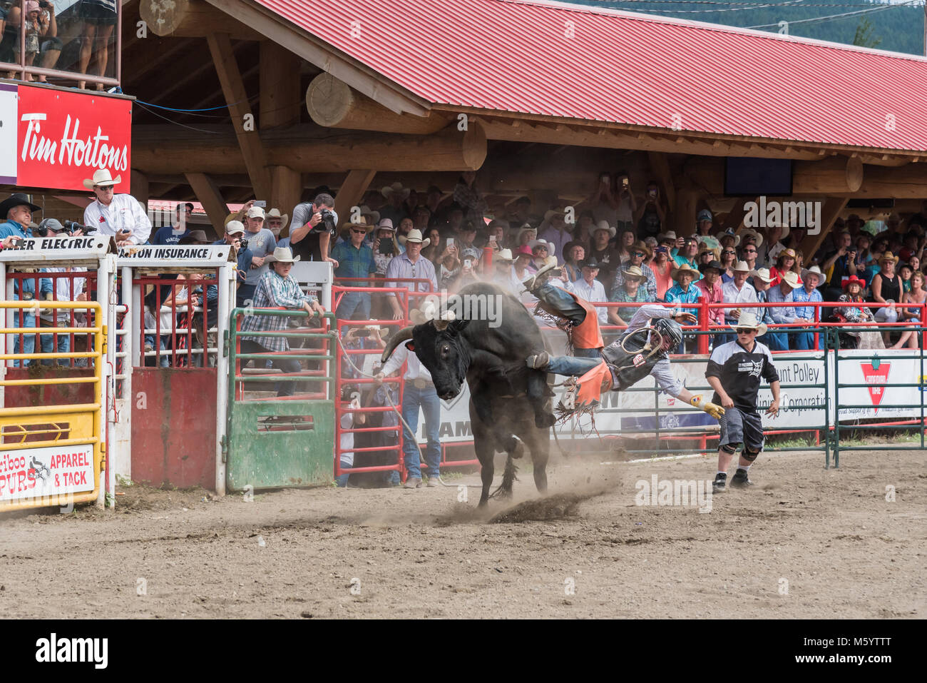 Bucking chutes hi-res stock photography and images - Alamy